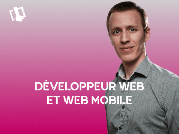 Développeur web et web mobile - IRFABFC | Formation professionnelle ...